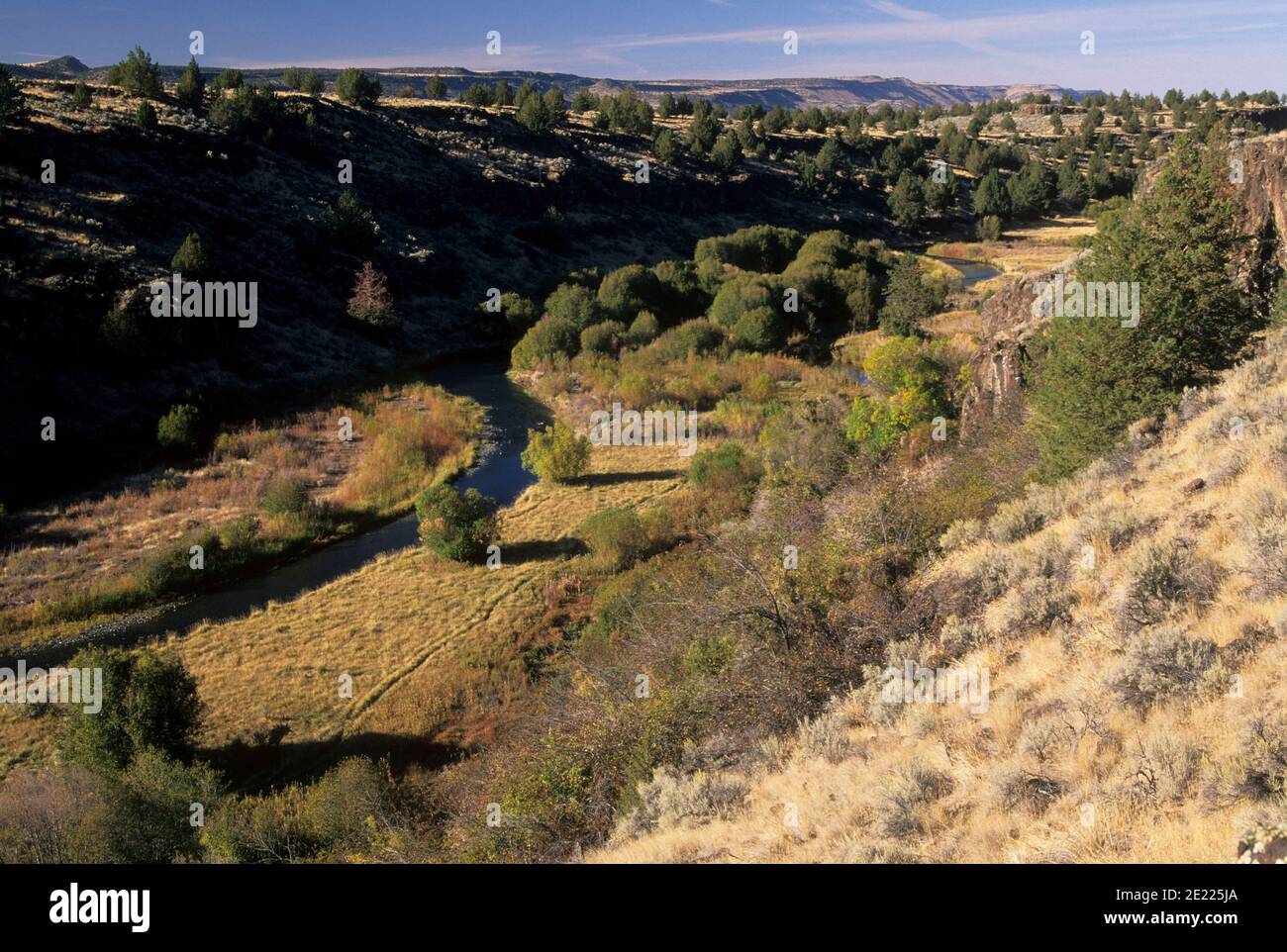 Donner und Blitzen Wild & Scenic River, Steens Mountain Wilderness ...
