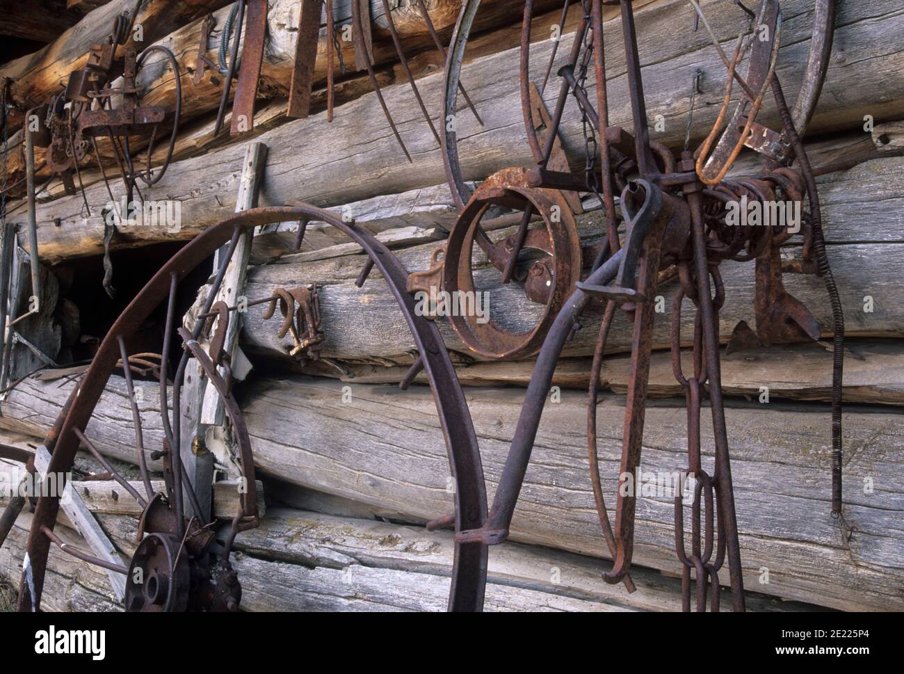 Tack Room wall, Riddle Ranch National Historical District, Steens ...