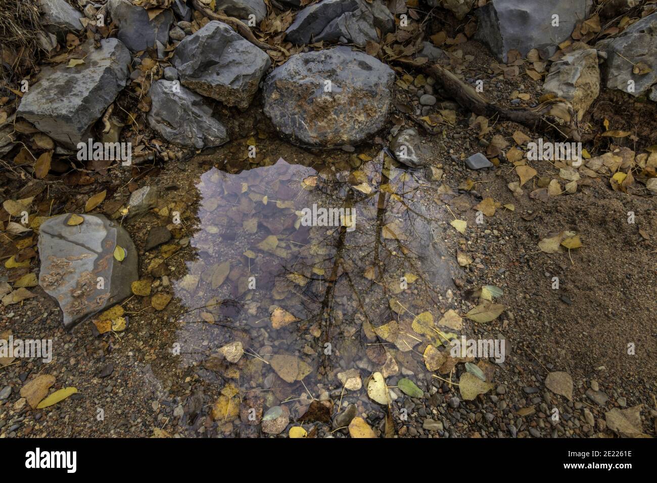 Fall forest lake trees gardening hi-res stock photography and images ...