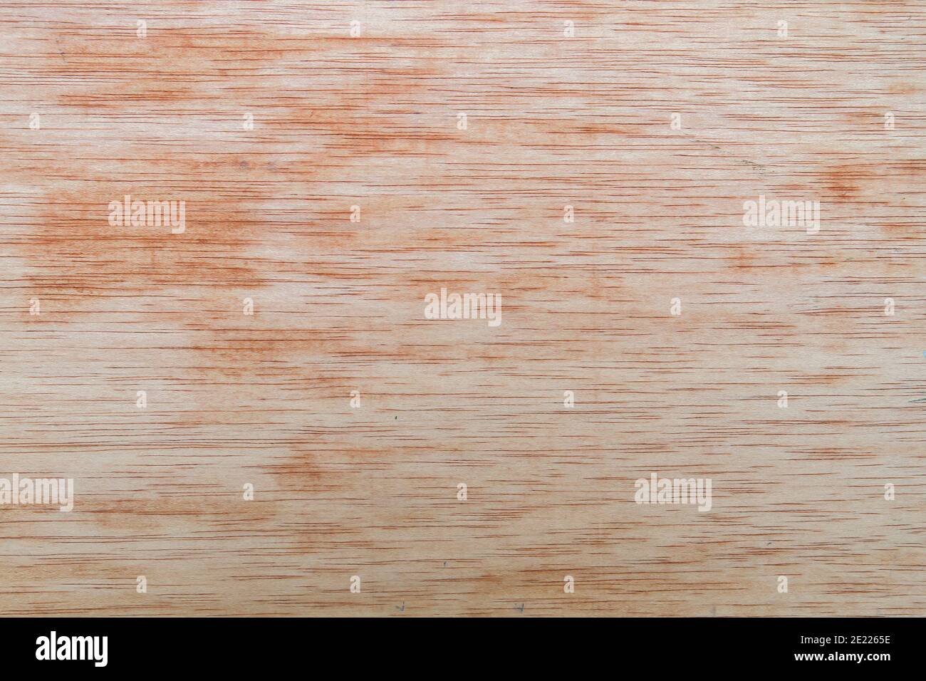 Wood Veins High Resolution Stock Photography and Images - Alamy