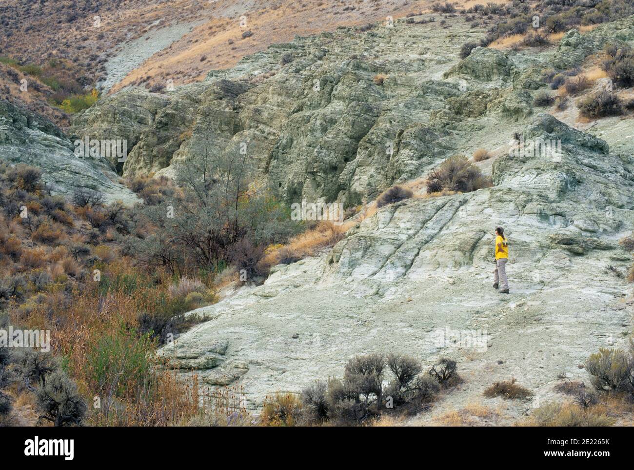 Clay outcrop, Succor Creek State Park, Oregon Stock Photo - Alamy