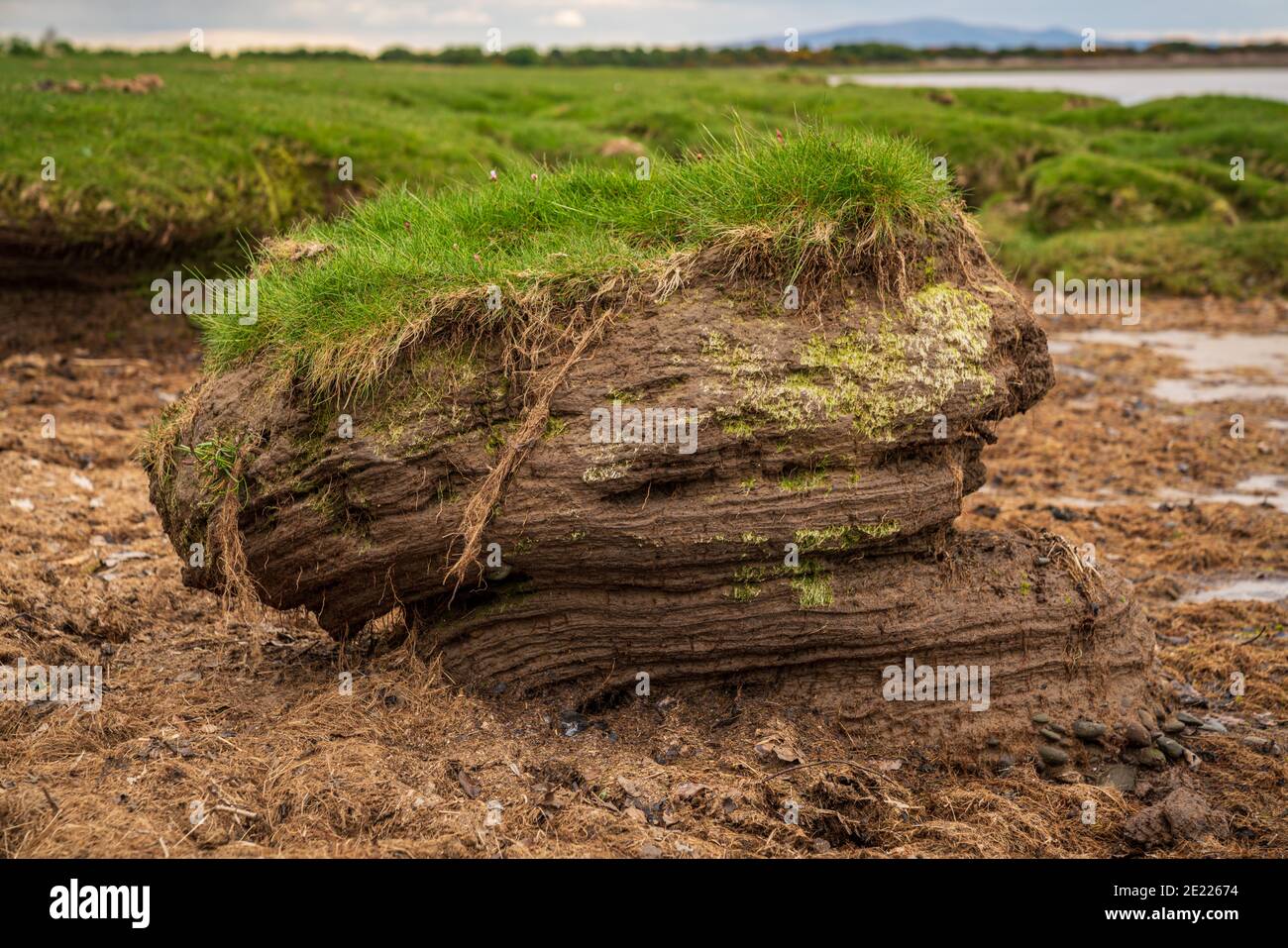The Solway coast in Bowness-on-Solway, Cumbria, England, UK - with the ...