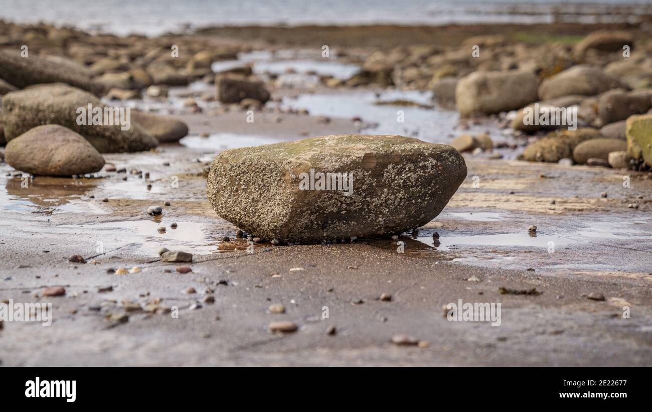 A large stone on the Public Slipway in the low tide on Parton Beach ...
