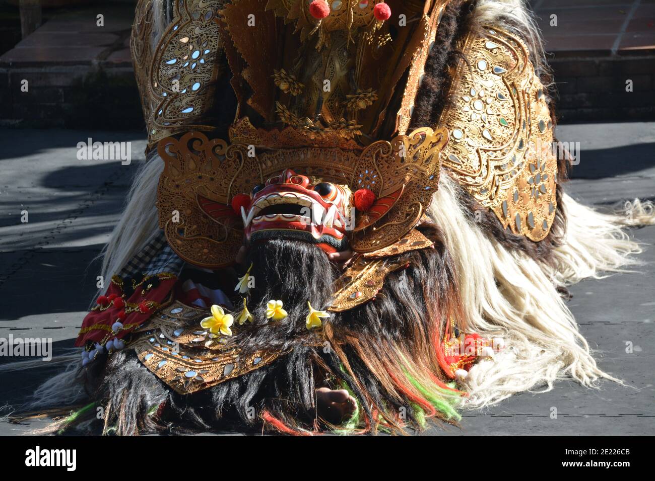 Balinese locals performing Barong, a mythical lion-like creature at a ...