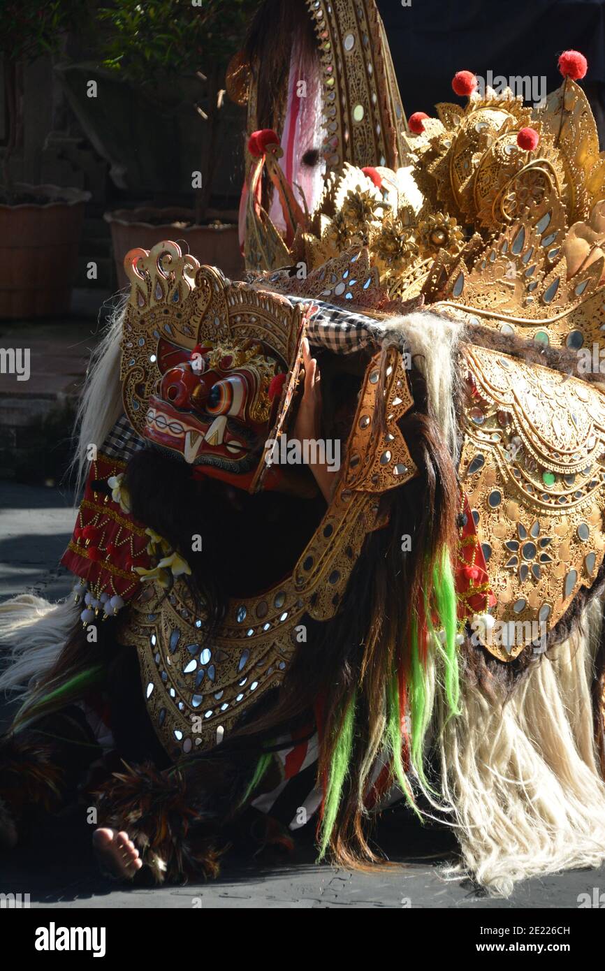 Balinese locals performing Barong, a mythical lion-like creature at a ...