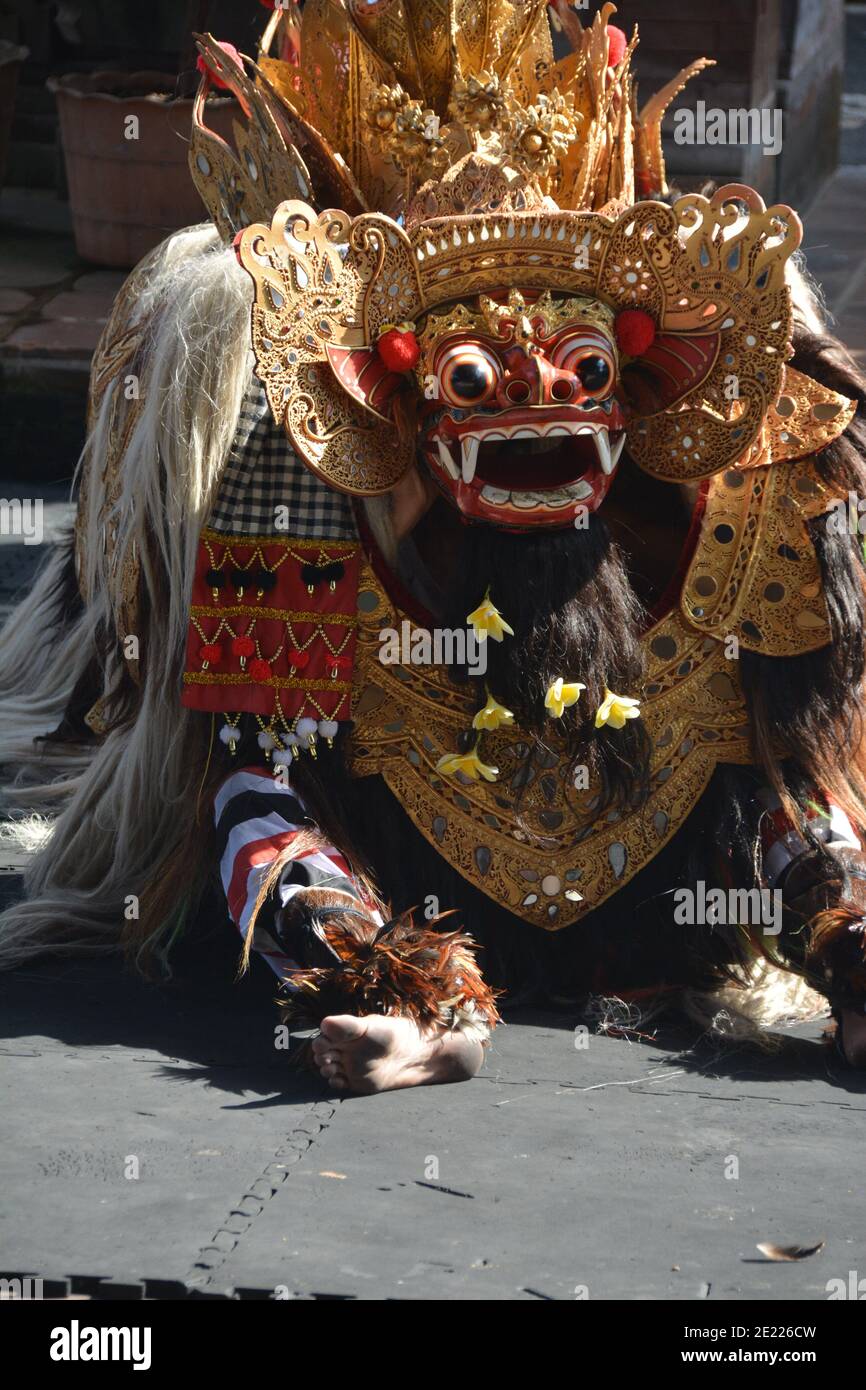 Balinese locals performing Barong, a mythical lion-like creature at a ...