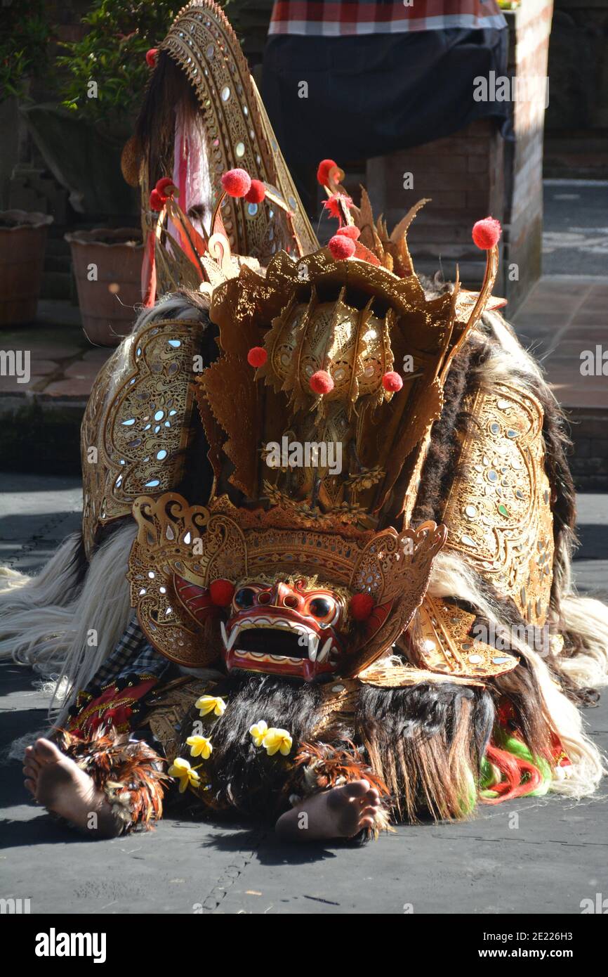 Balinese locals performing Barong, a mythical lion-like creature at a ...
