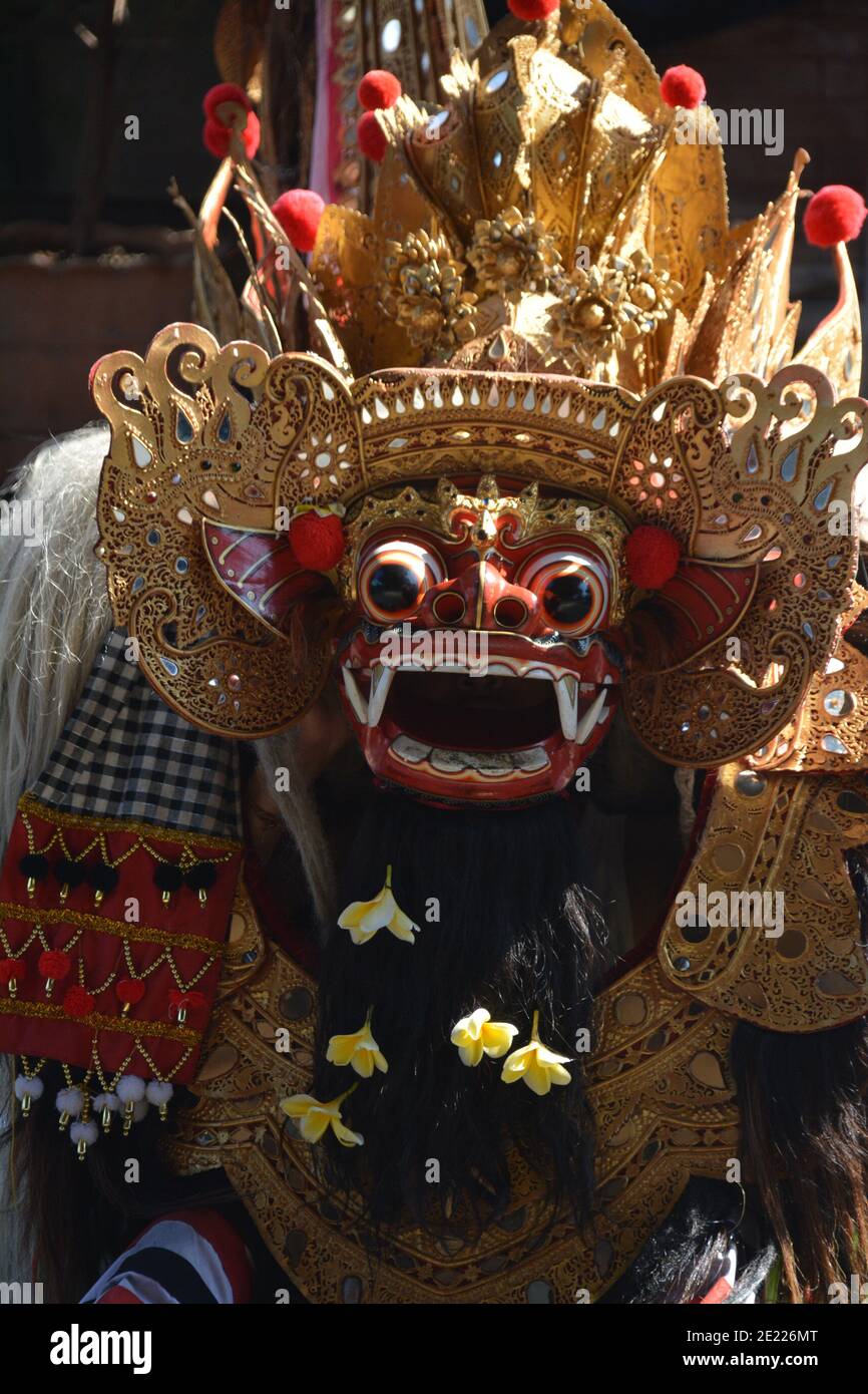 Balinese locals performing Barong, a mythical lion-like creature at a ...