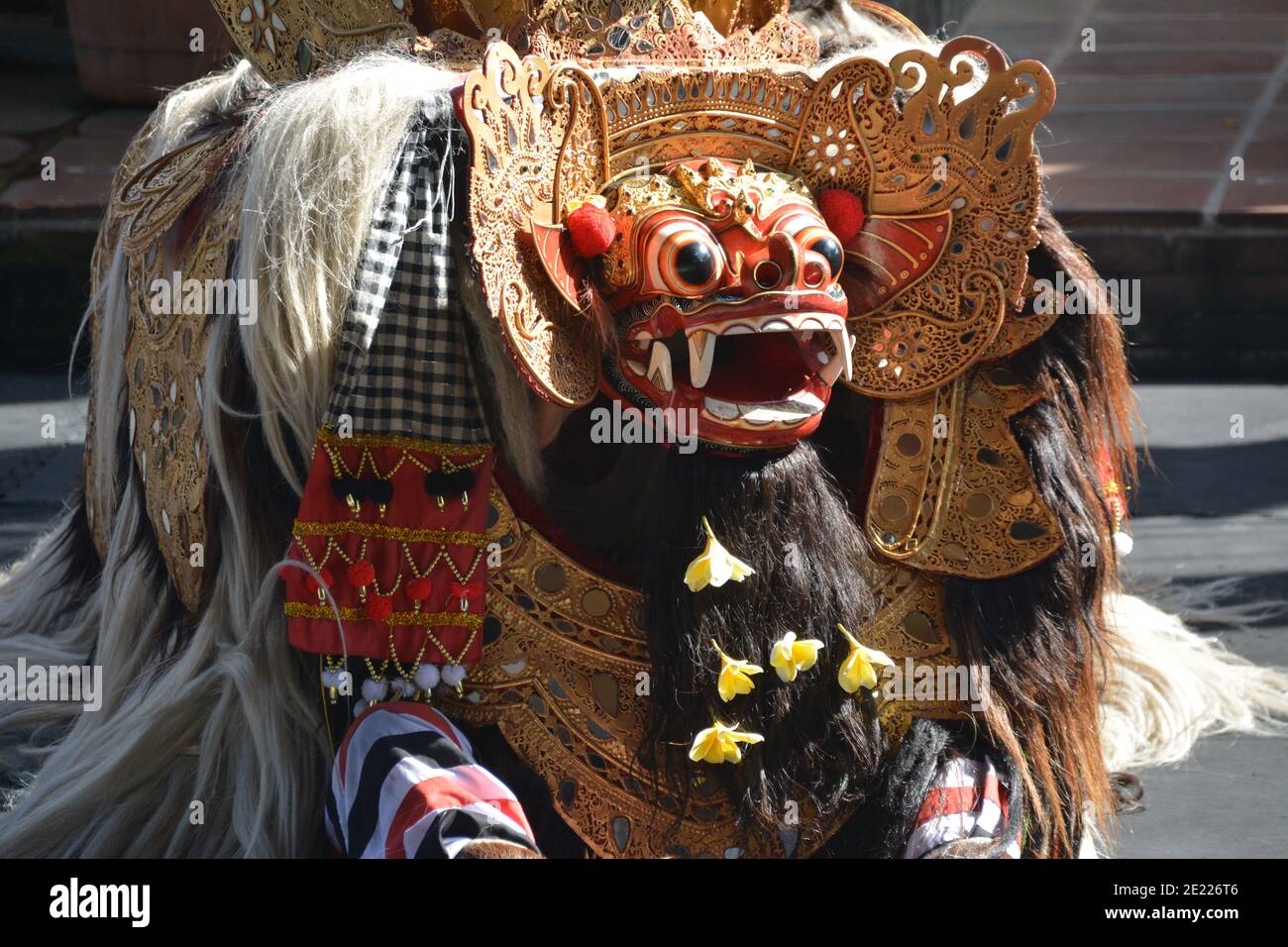 Balinese locals performing Barong, a mythical lion-like creature at a ...