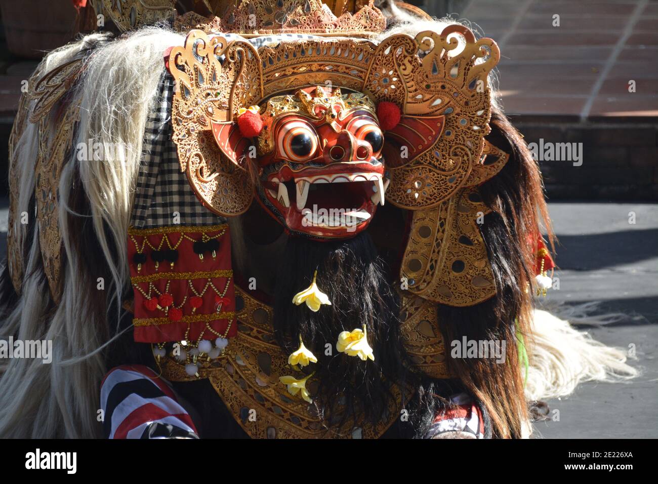 Balinese locals performing Barong, a mythical lion-like creature at a ...