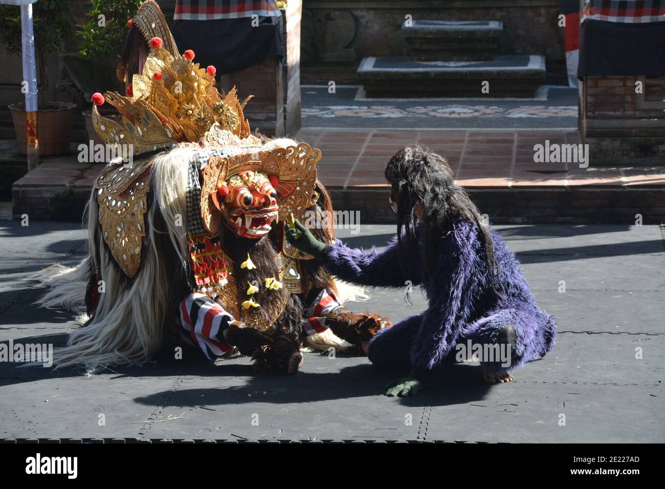 Balinese locals performing Barong, a mythical lion-like creature at a ...