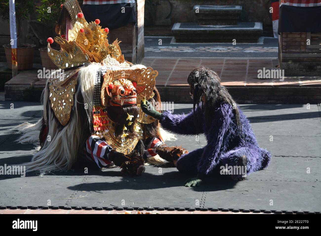 Balinese locals performing Barong, a mythical lion-like creature at a ...