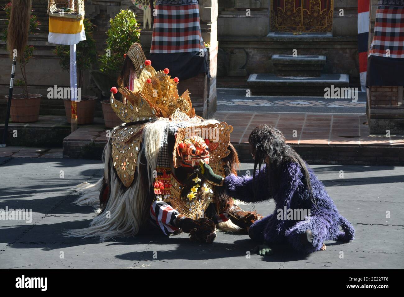 Balinese locals performing Barong, a mythical lion-like creature at a ...
