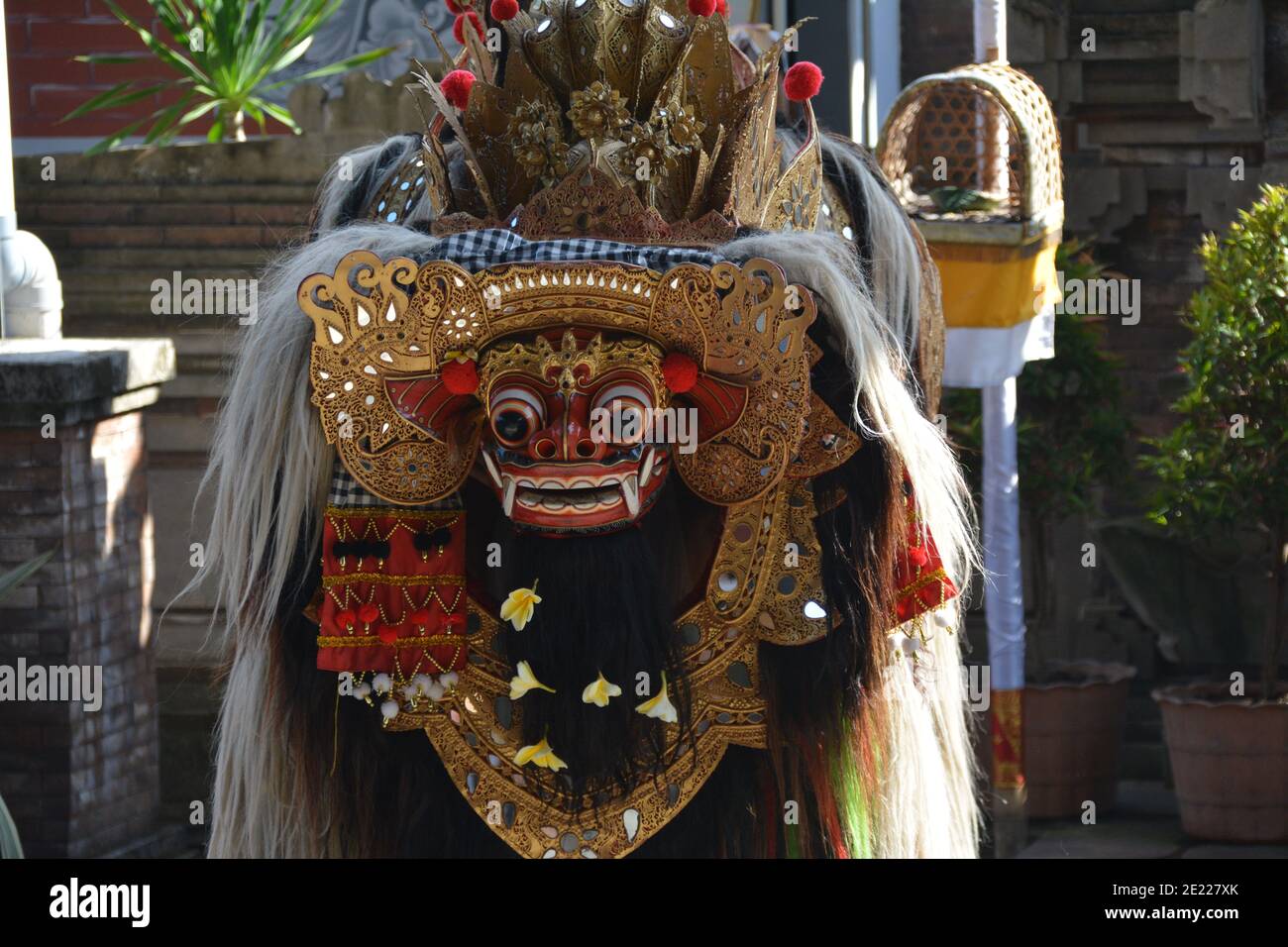 Balinese locals performing Barong, a mythical lion-like creature at a ...