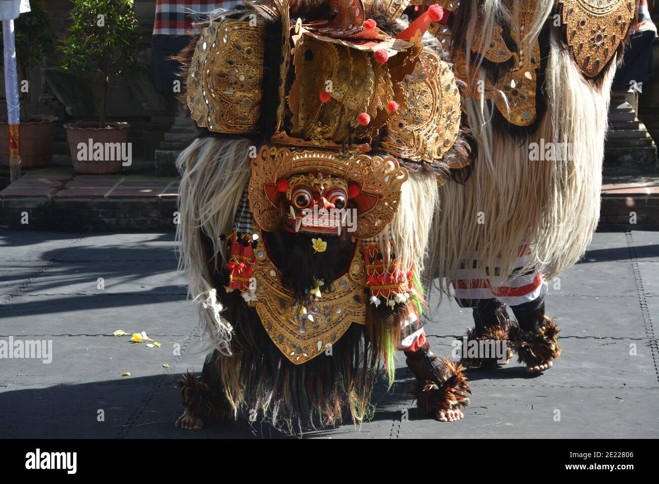 Balinese locals performing Barong, a mythical lion-like creature at a ...