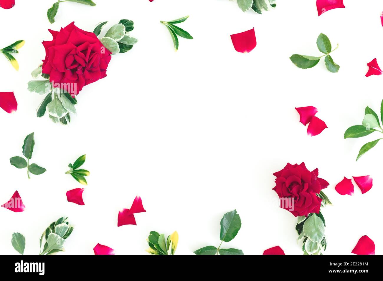 Floral frame made of red roses flowers and green leaves on white ...