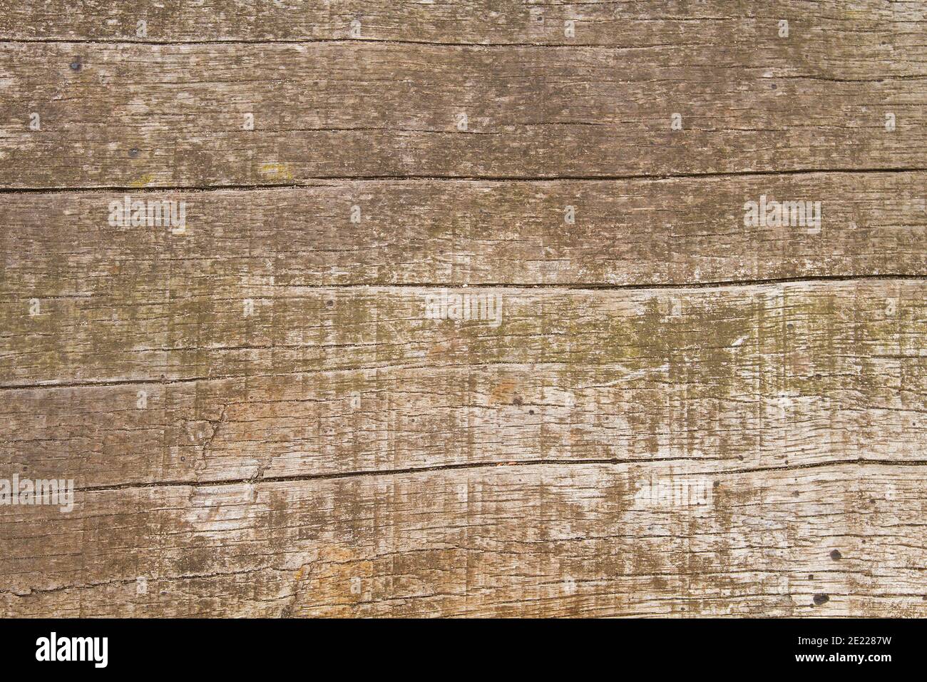 Old wood texture Stock Photo - Alamy