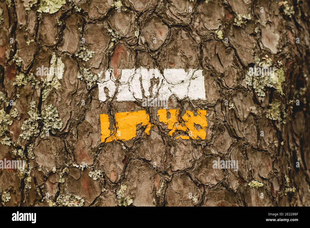 Marked trail signage hi-res stock photography and images - Alamy