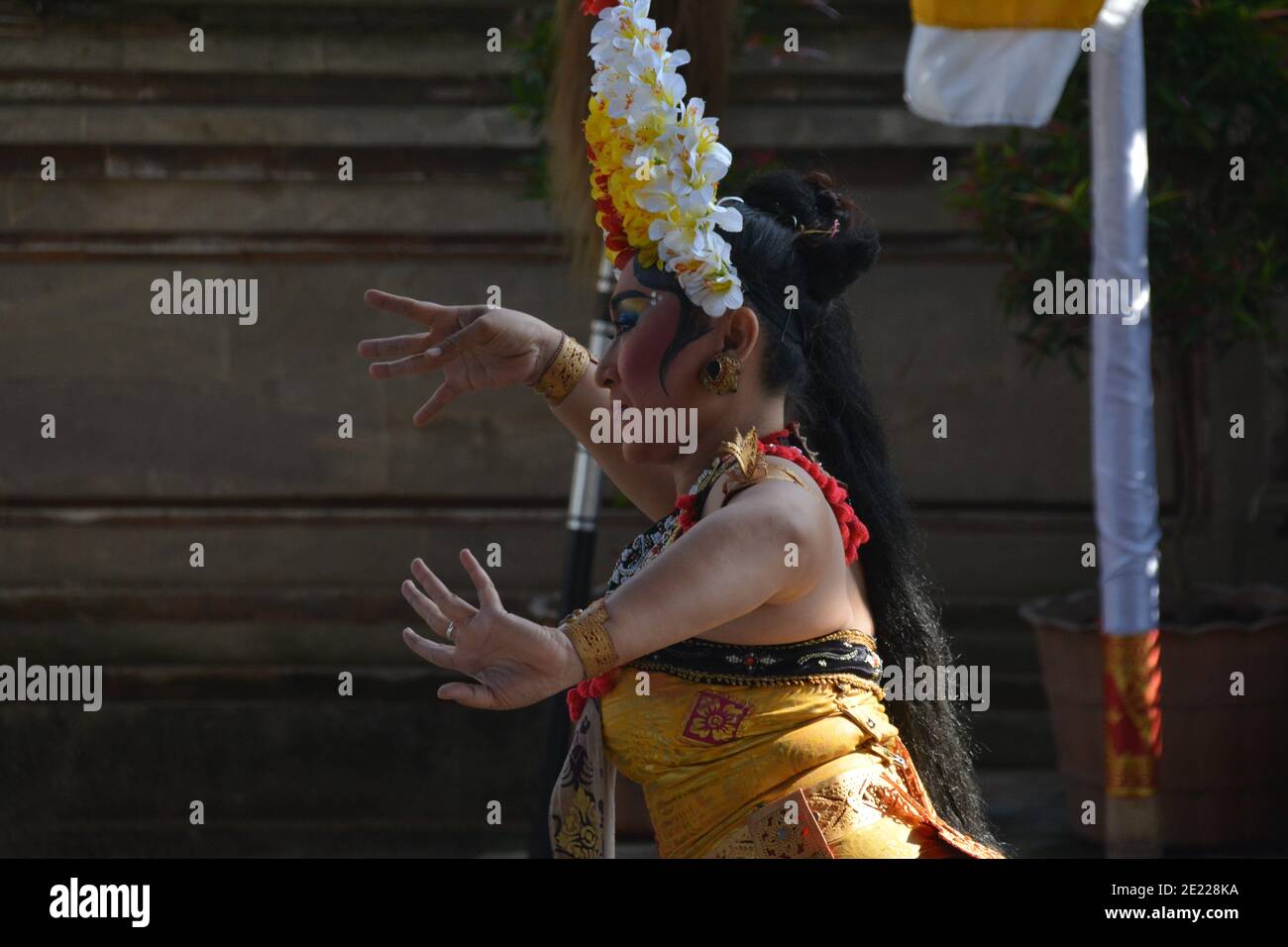 Balinese locals performing Barong, a mythical lion-like creature at a ...