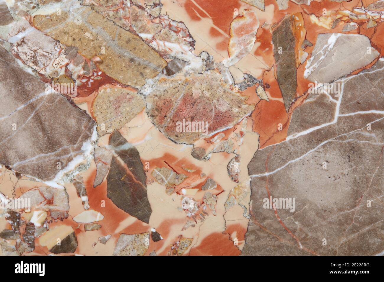 Variegated stone in gray, white and brown colors marble texture ...