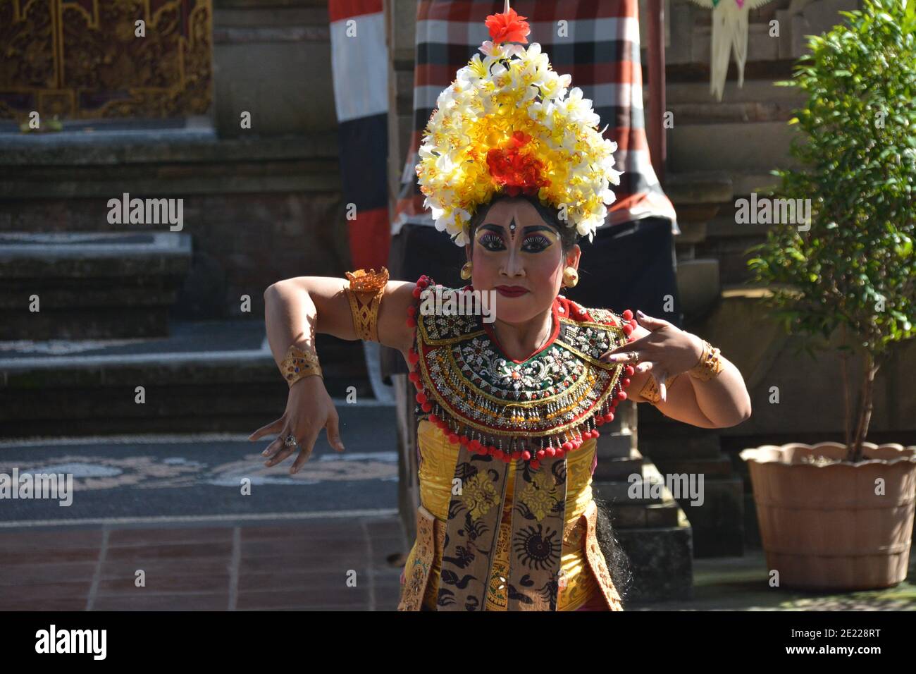 Balinese locals performing Barong, a mythical lion-like creature at a ...