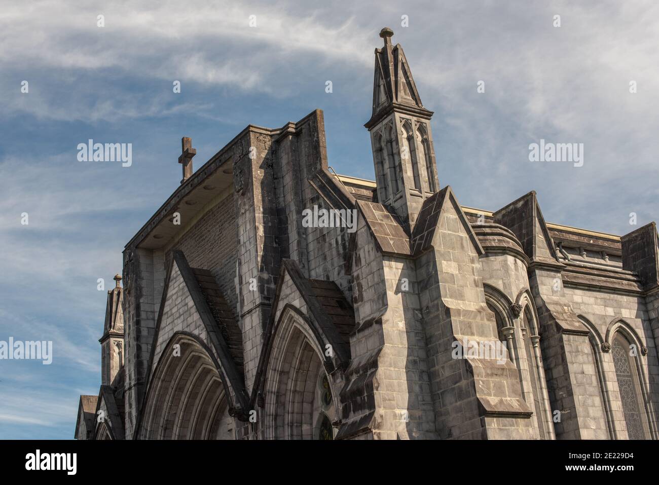Nelson, New Zealand -- February 25, 2018. A side view photo looking up ...