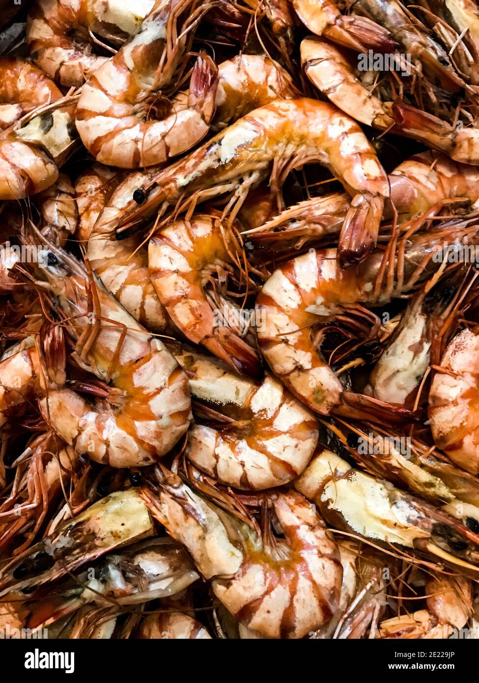 Raw king prawns background. Tiger chrimp. Seafood pattern. Vertical ...
