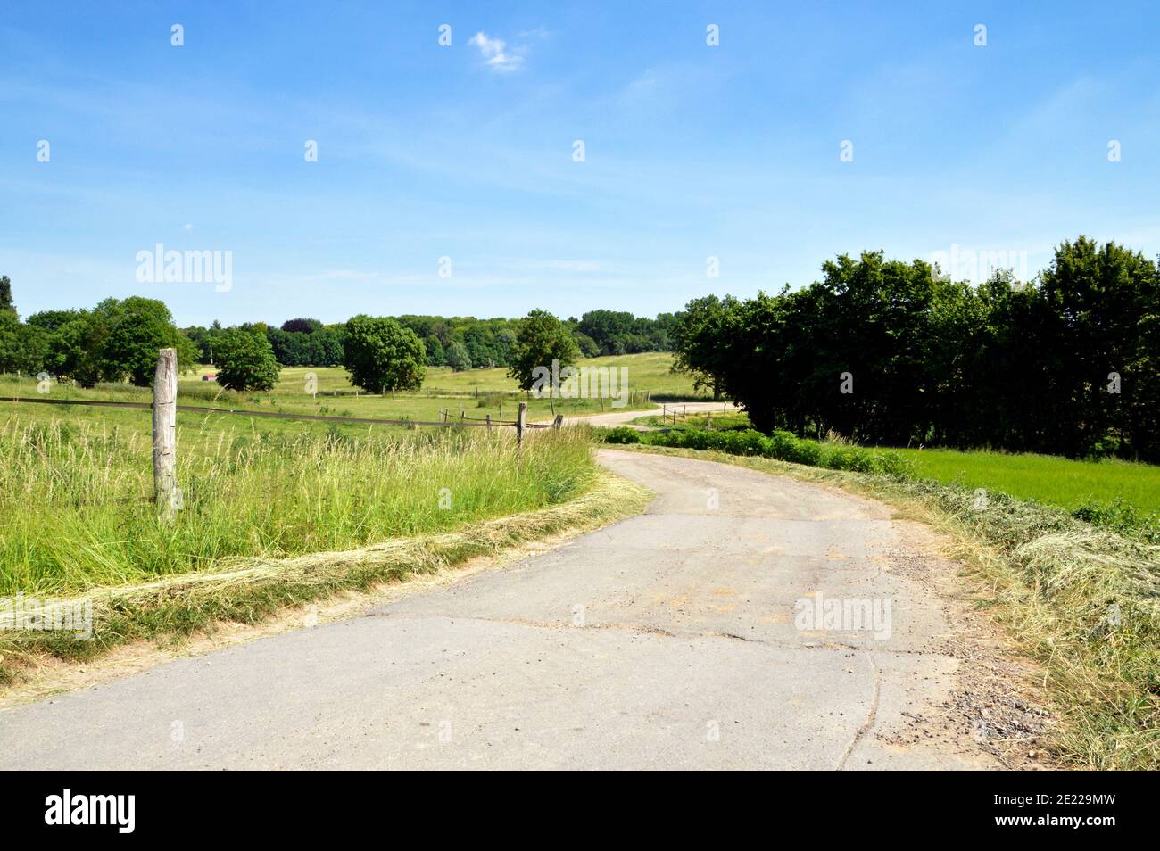 Country road landscapes hi-res stock photography and images - Alamy