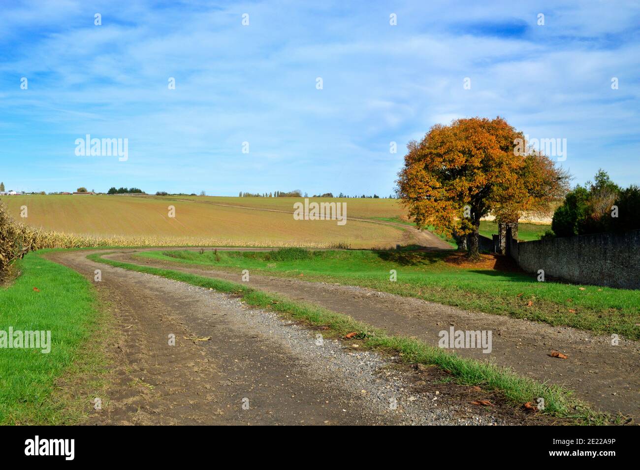 Beautiful landscape in autum hi-res stock photography and images - Alamy