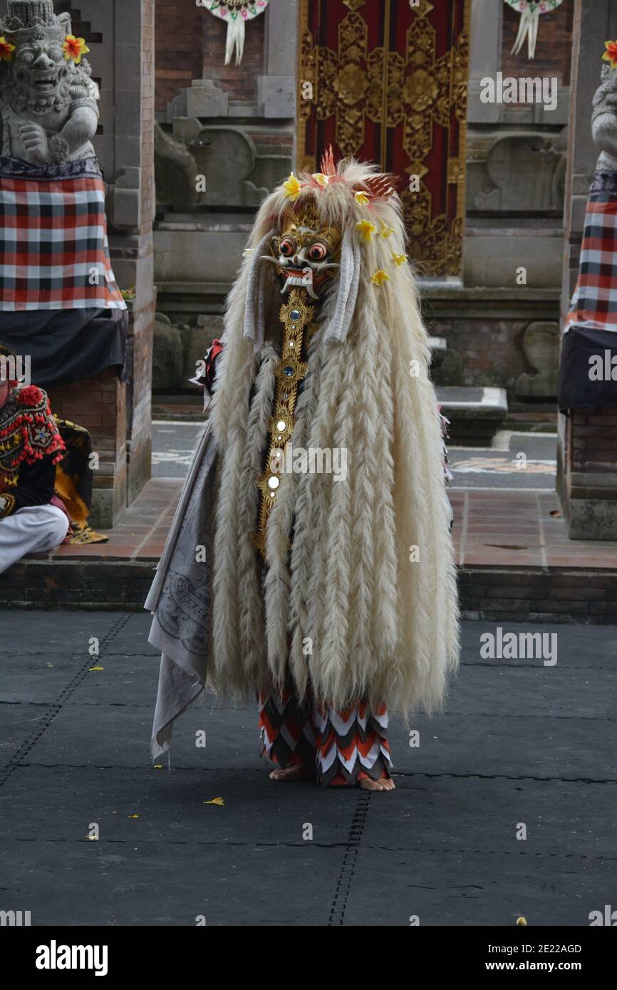 Balinese locals performing Barong, a mythical lion-like creature at a ...