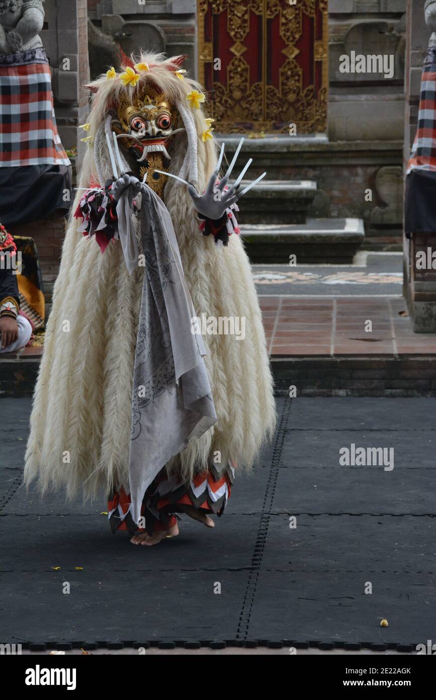 Balinese locals performing Barong, a mythical lion-like creature at a ...