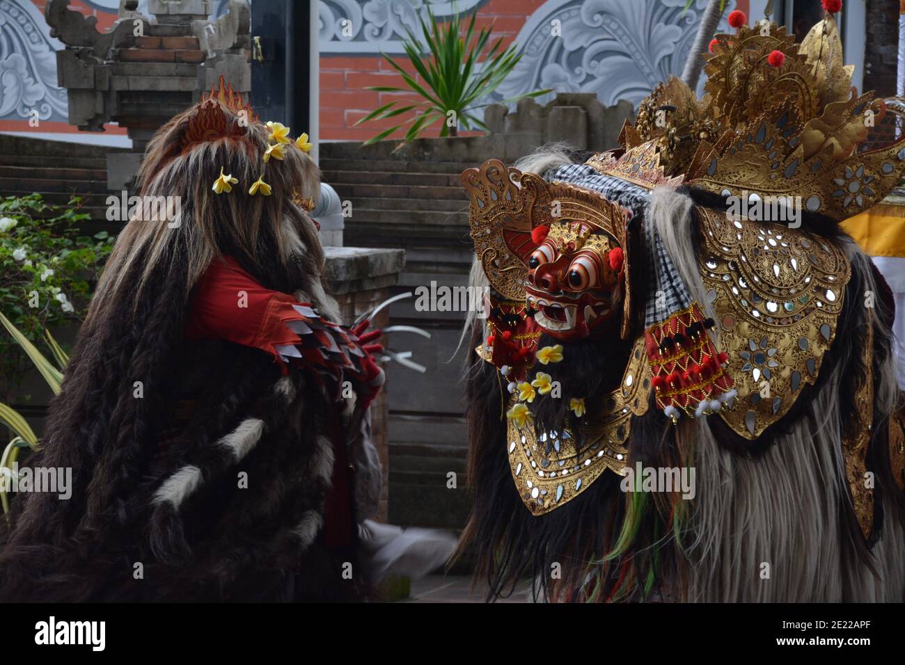 Balinese locals performing Barong, a mythical lion-like creature at a ...