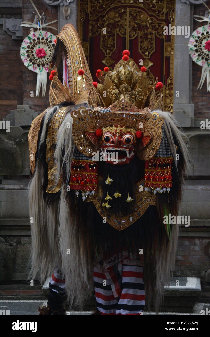 Balinese locals performing Barong, a mythical lion-like creature at a ...