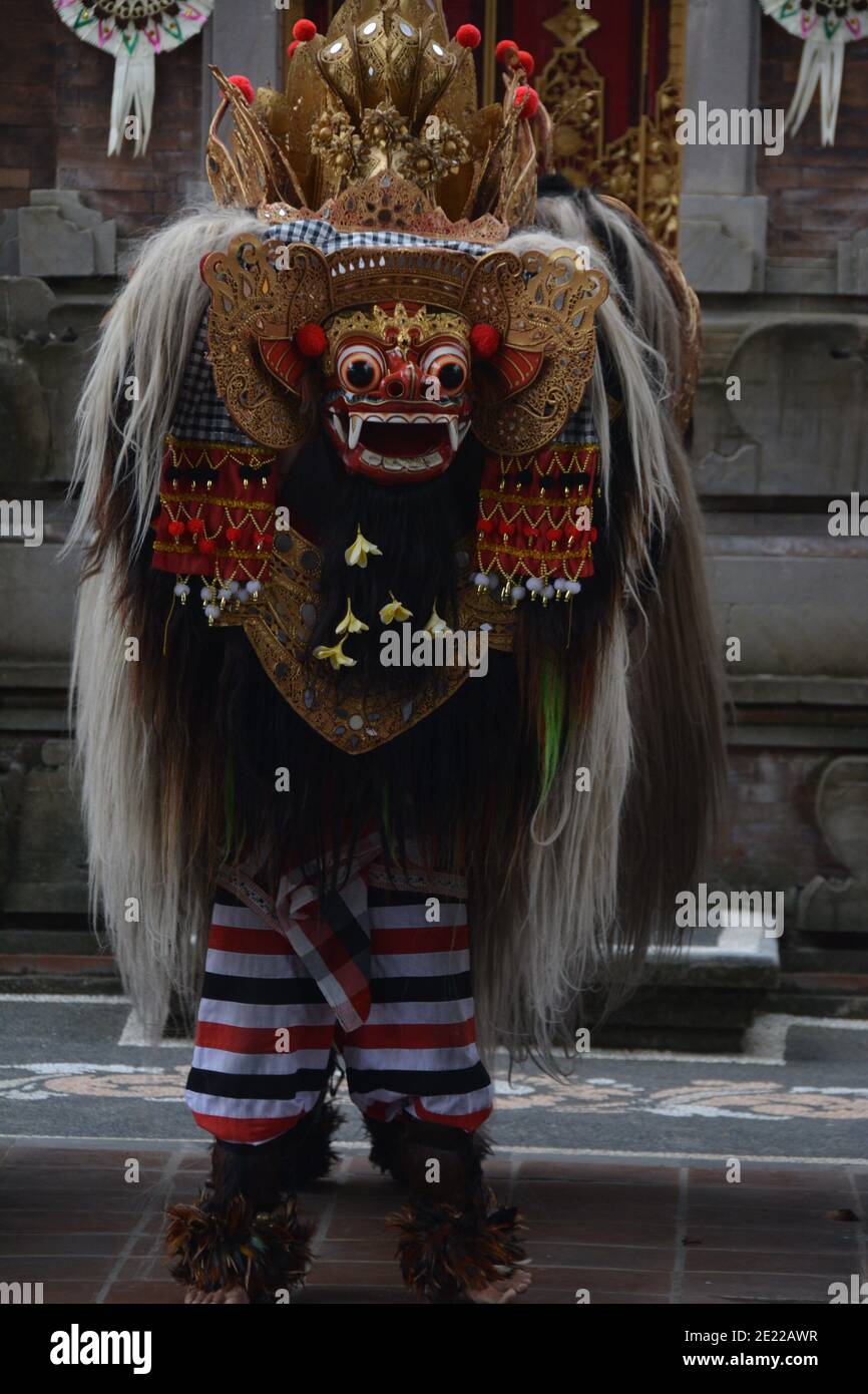 Balinese locals performing Barong, a mythical lion-like creature at a ...