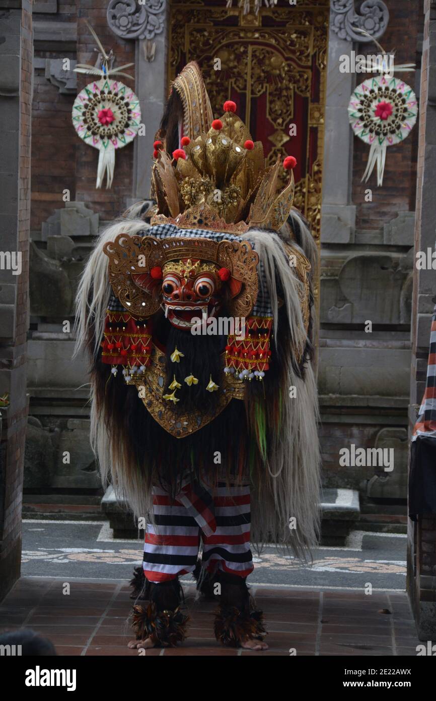 Balinese locals performing Barong, a mythical lion-like creature at a ...