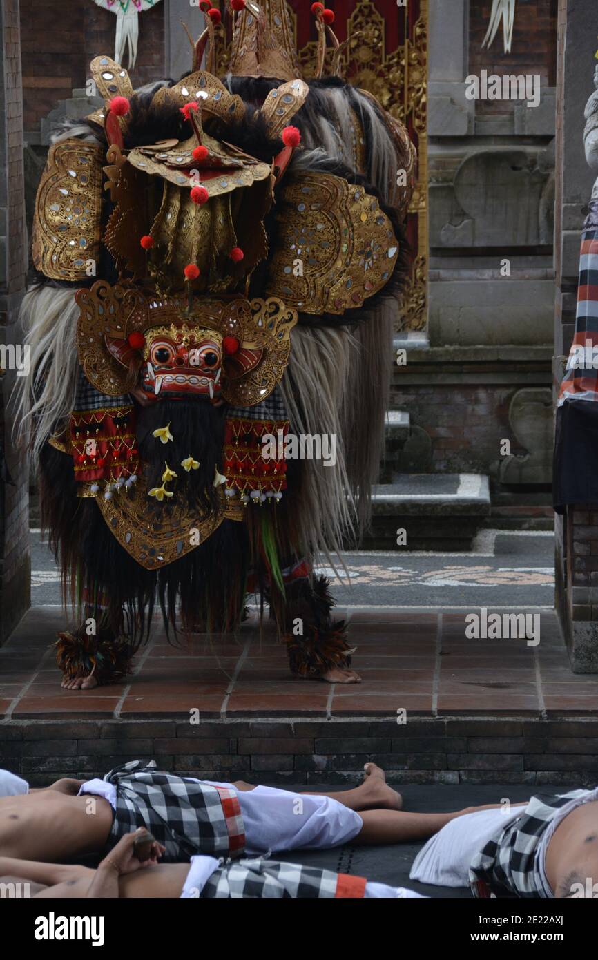 Balinese locals performing Barong, a mythical lion-like creature at a ...