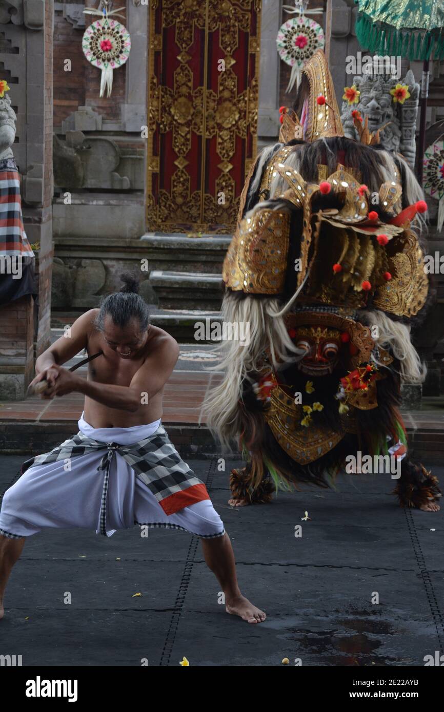 Balinese locals performing Barong, a mythical lion-like creature at a ...