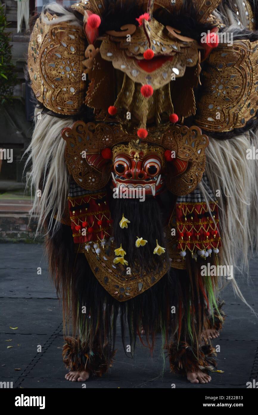 Balinese locals performing Barong, a mythical lion-like creature at a ...