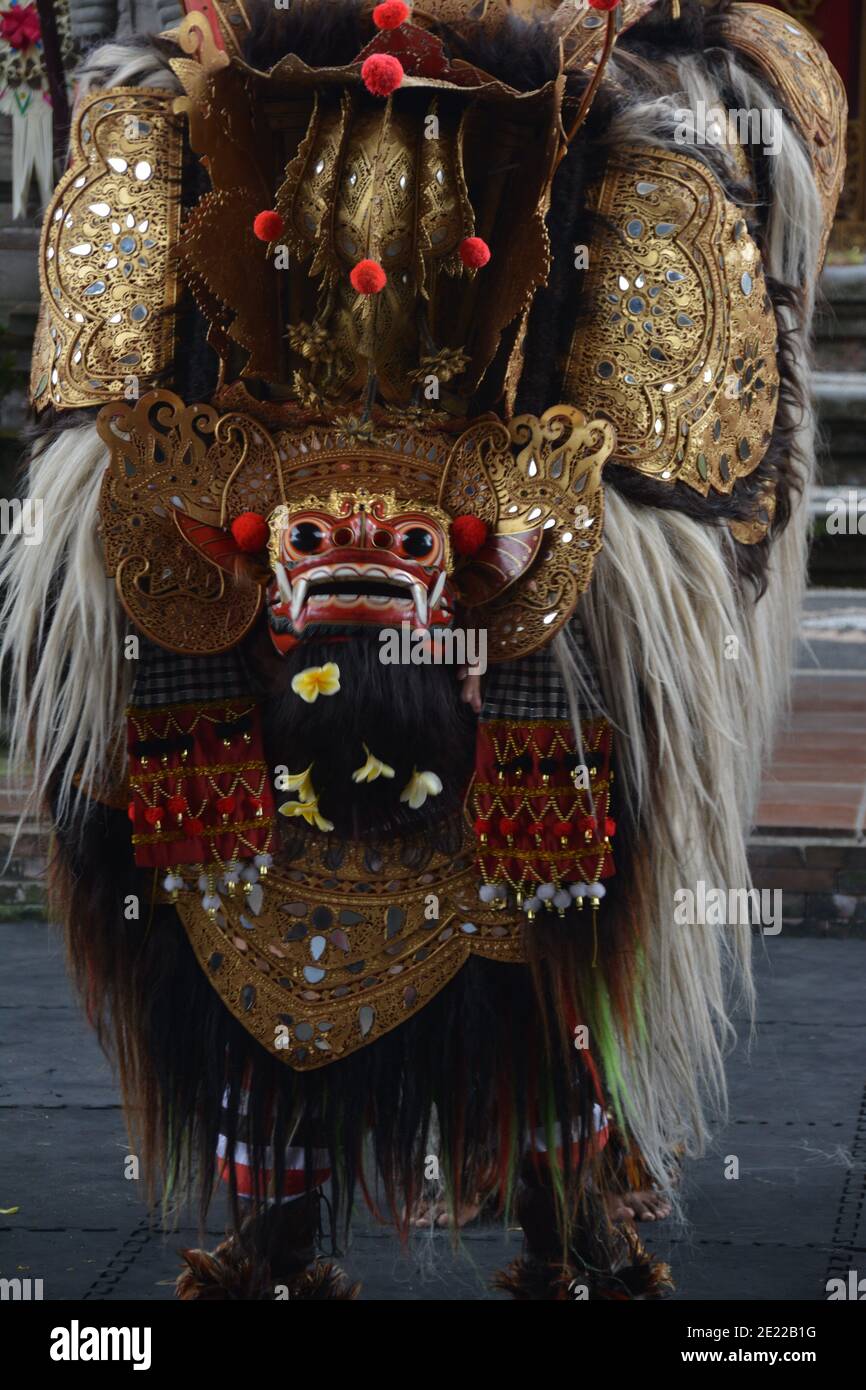Balinese locals performing Barong, a mythical lion-like creature at a ...