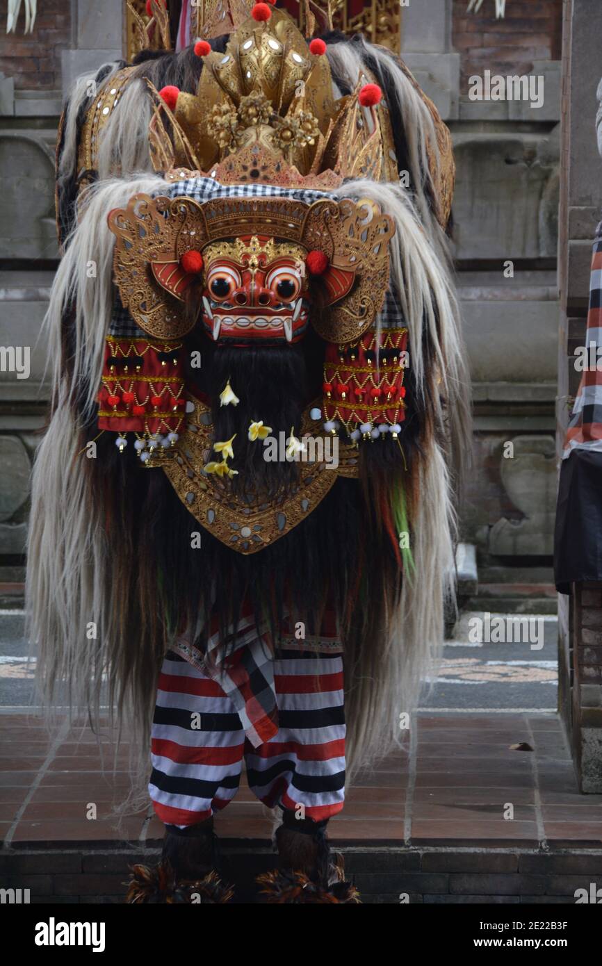 Balinese locals performing Barong, a mythical lion-like creature at a ...