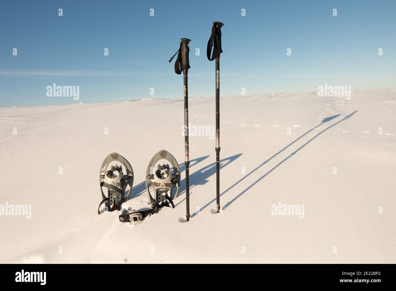 Snowshoes and walking poles in a deep snow bank with blue sky ...
