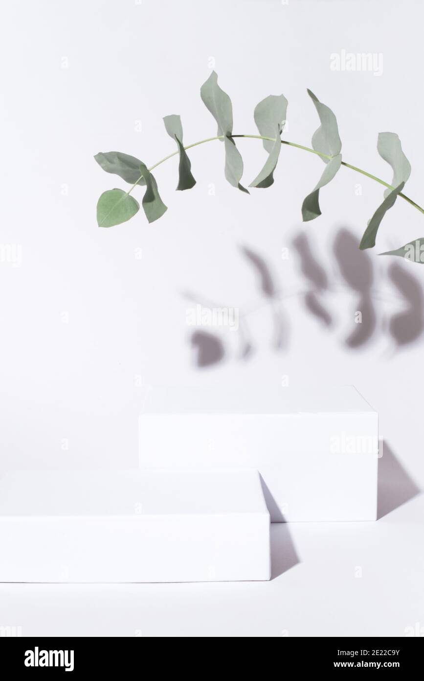 White background for cosmetic products Stock Photo - Alamy