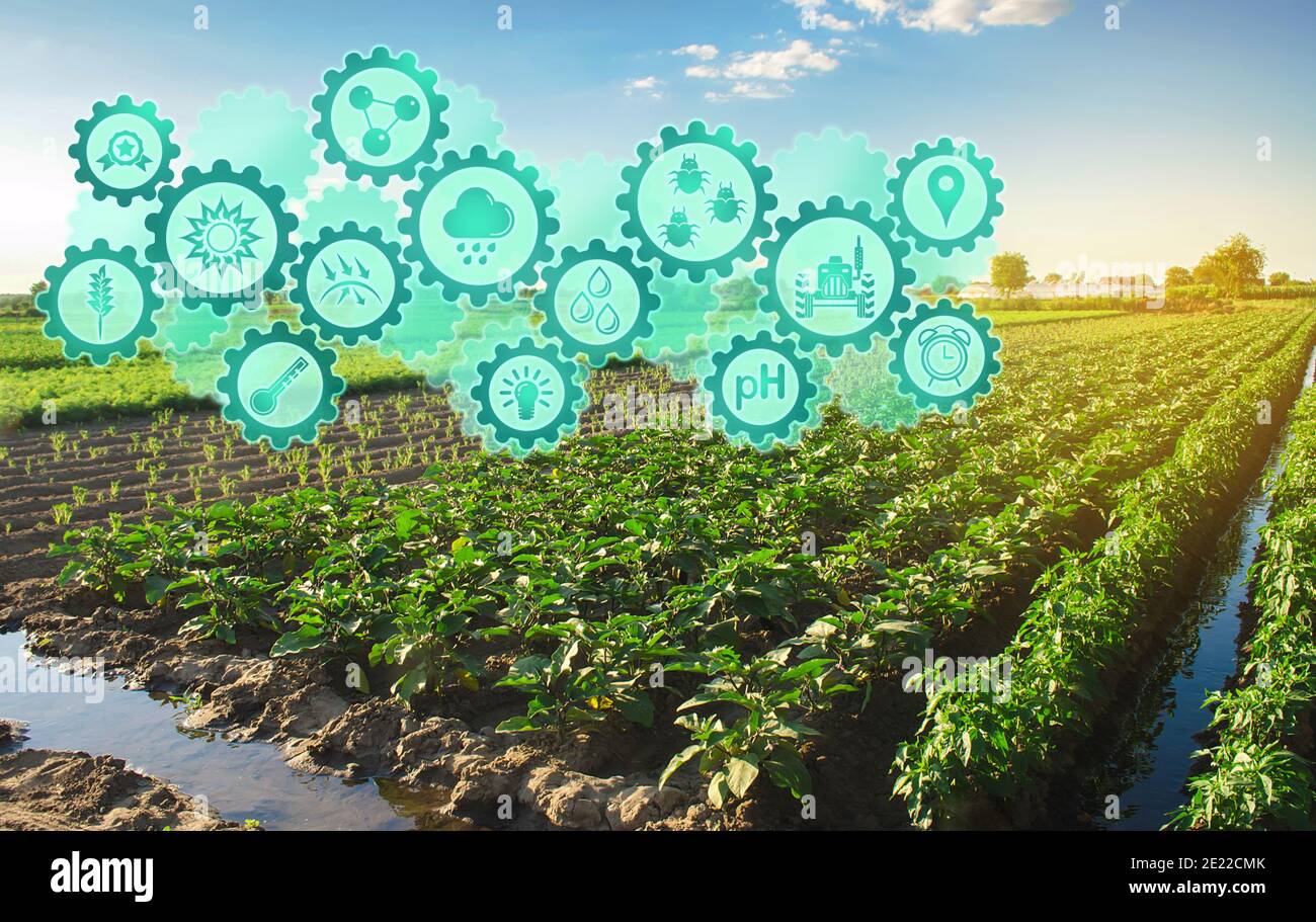 Smart farm system, innovation technology. Agricultural management ...