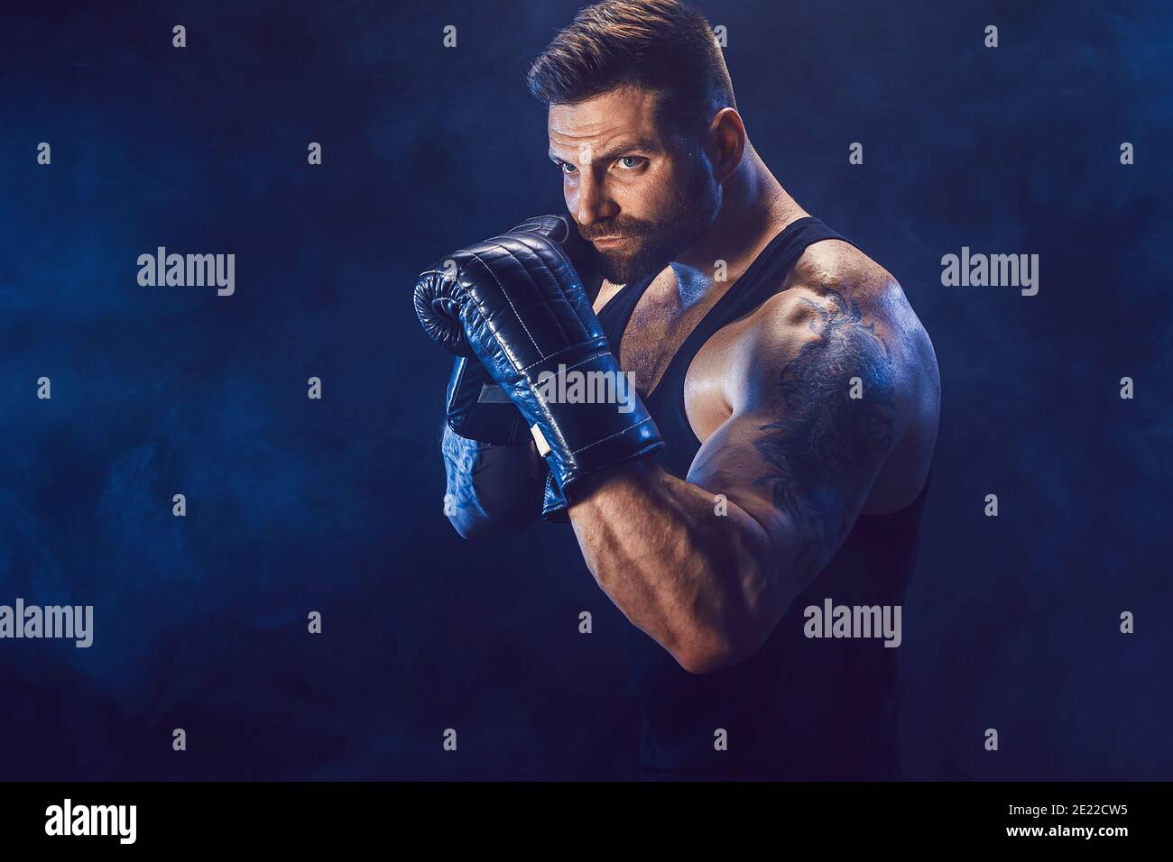 Sportsman boxer fighting on black background with shadow. Copy Space ...