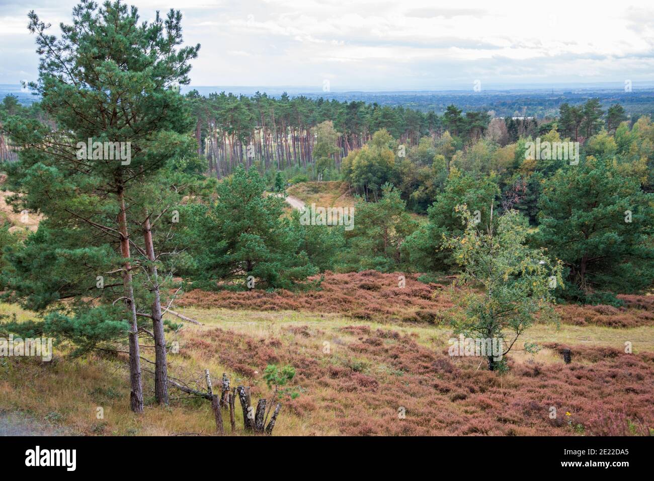 Nationalpark senne hi-res stock photography and images - Alamy
