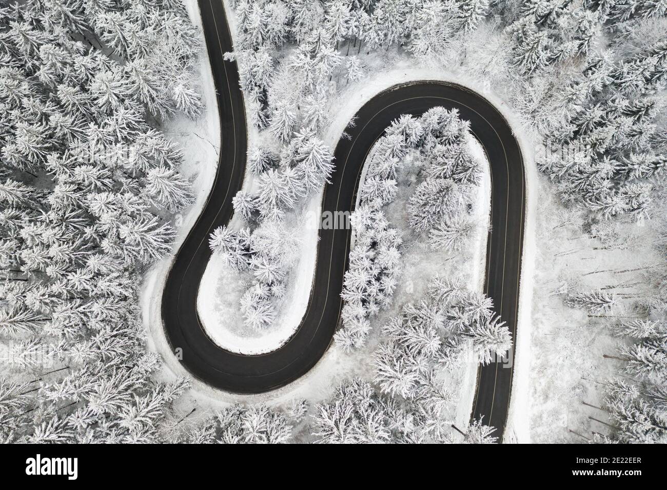 Curved S-shaped road in the winter forest aerial view. Empty winding ...