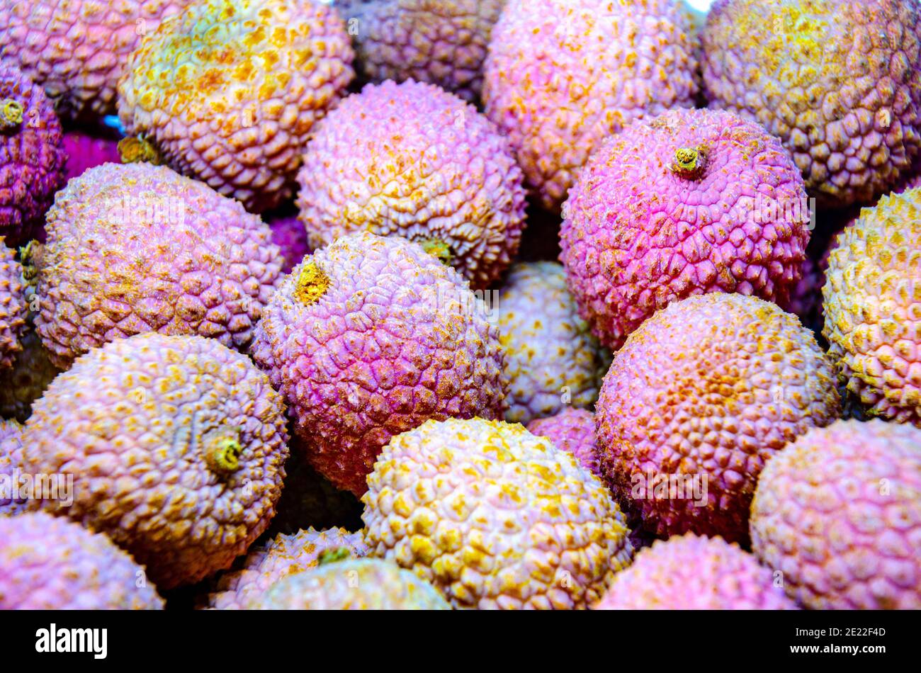 A close up view of a pile of lychees, a tropical fruit from Asia Stock ...