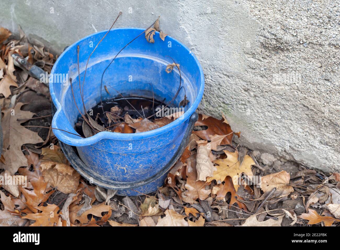 Shot of an old bucket with leaves in it Stock Photo - Alamy