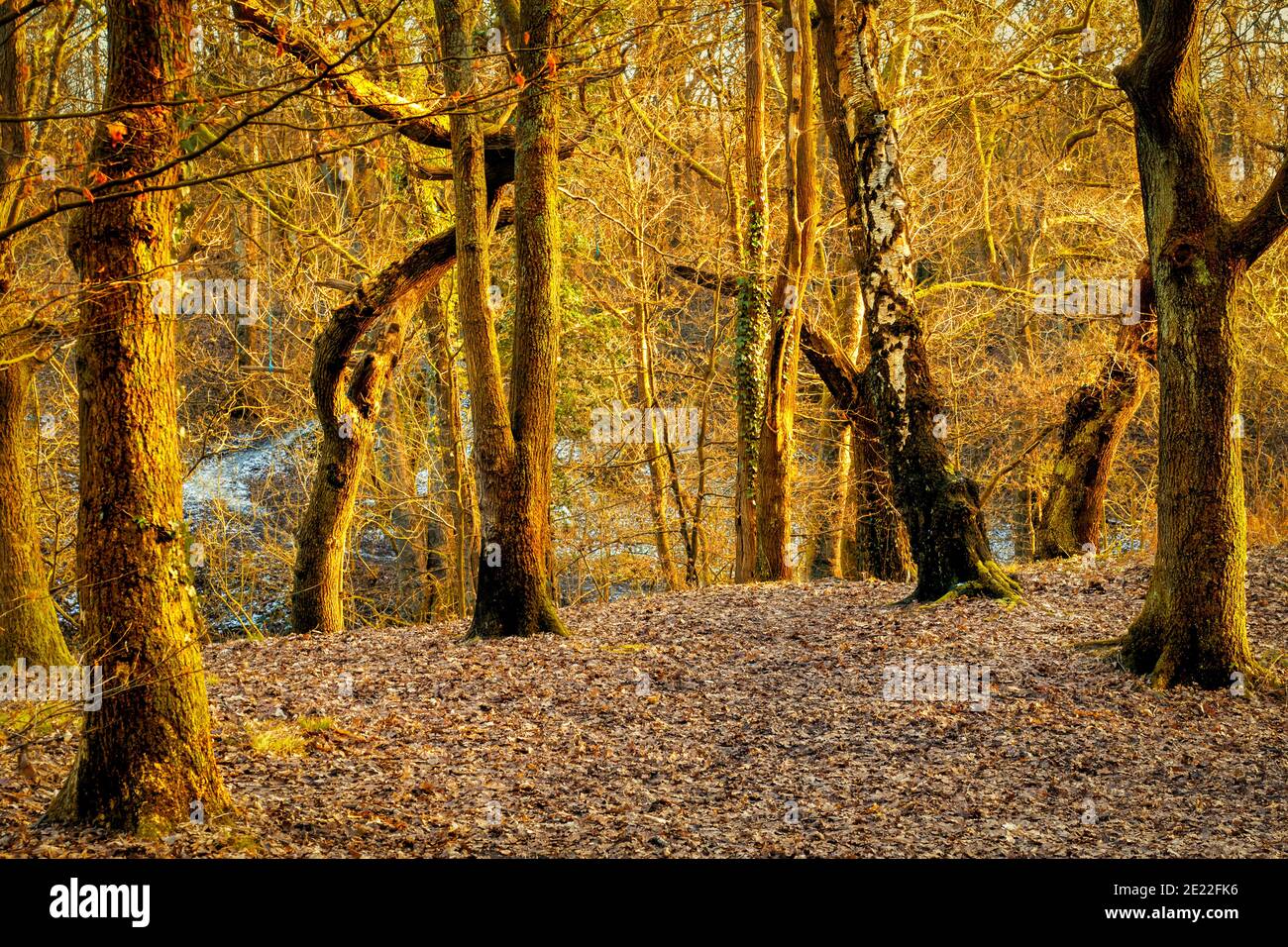 Sankey Valley Park is a country park in Warrington. The linear park ...