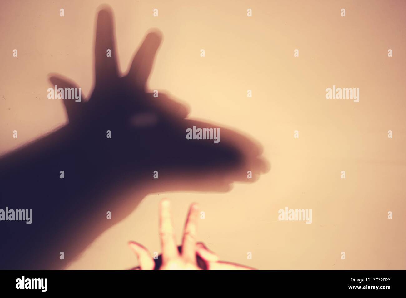 Shadow of goat on the wall hi-res stock photography and images - Alamy